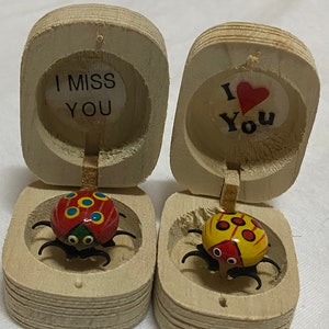 2 Ladybugs in a Wooden Box Cute Wiggle Leg I Love You & I Miss You for ...