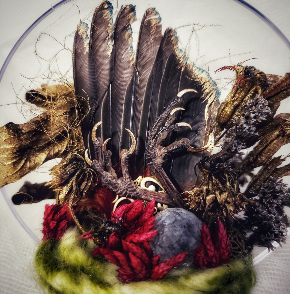 Tiny Ethical Taxidermy Globe Bird Wing and Gold Brushed Feet - Etsy