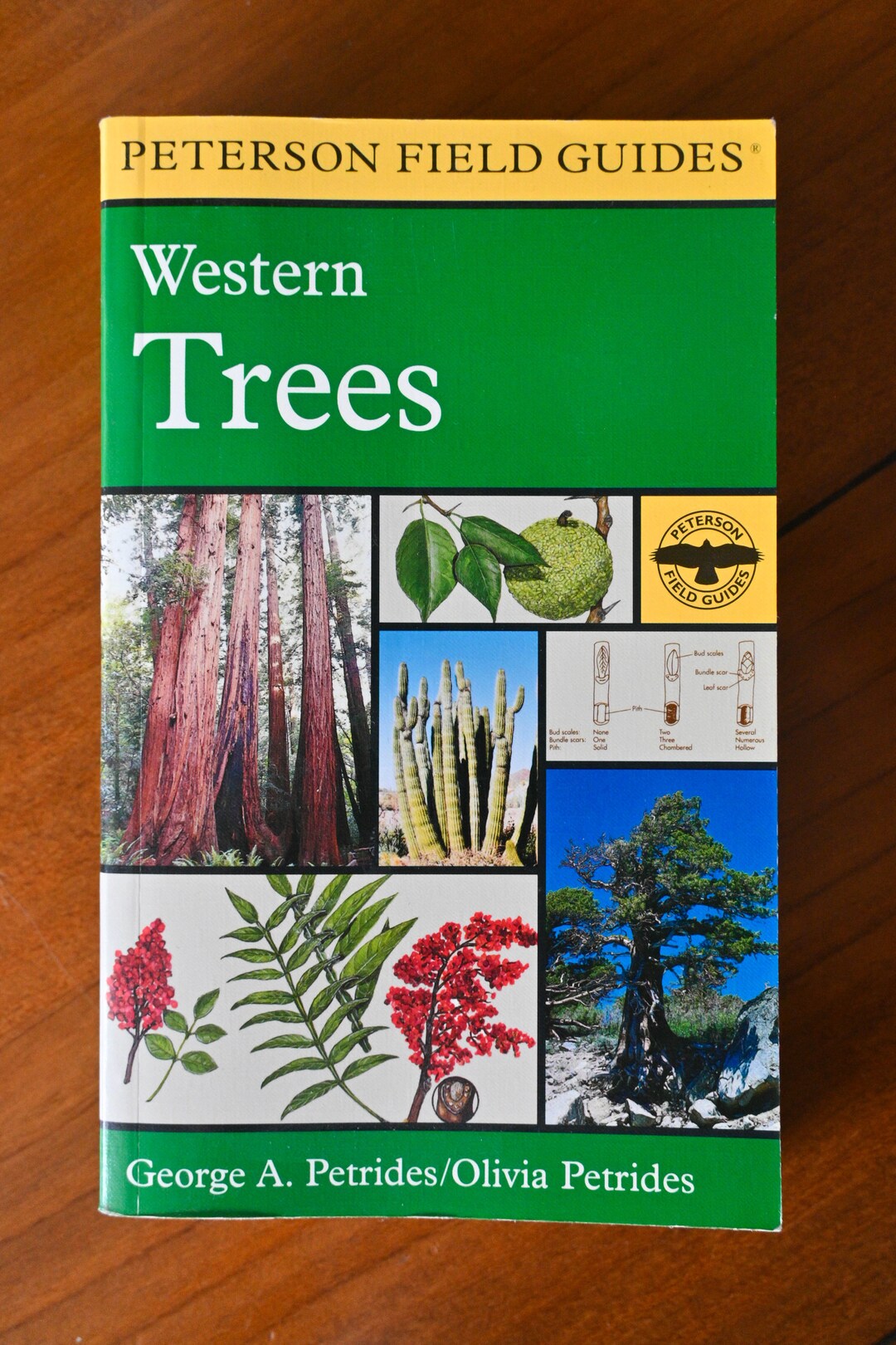 Peterson Field Guide to Western Trees Vintage Nature Guide to the Trees ...