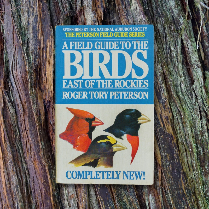 Vintage Bird Book - Etsy