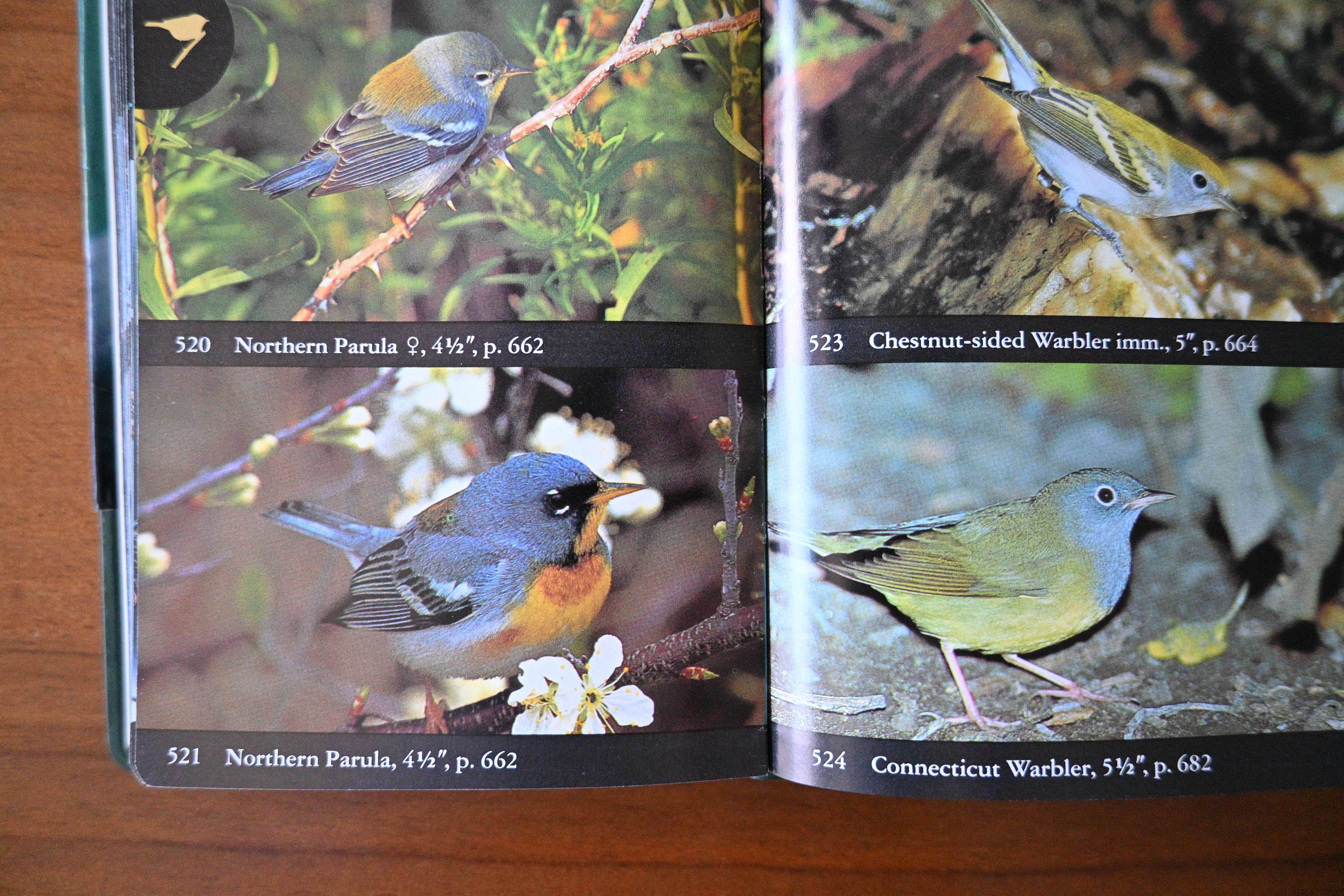 National Audubon Society Field Guide to North American Birds Eastern ...