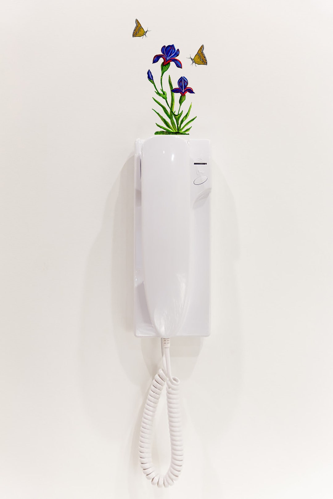 Iris Flower Plant and Butterfly | Easy Decal, Removable & Reusable ...