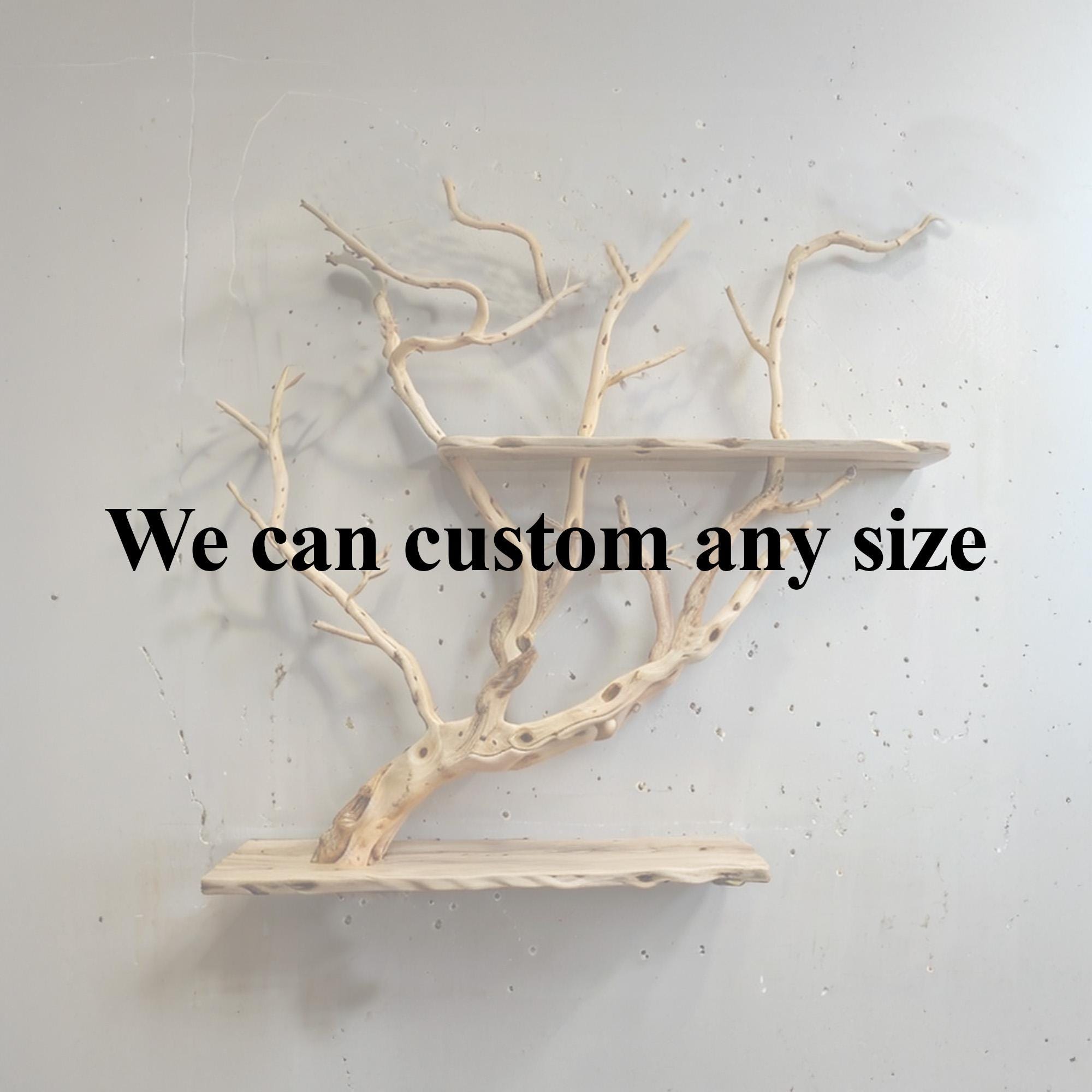 Tree Floating Shelf Driftwood Branch Bookcase Art Wall Mount Solid Wood ...
