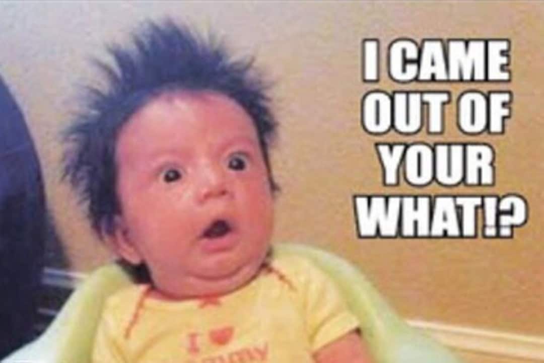 I Came Out of Your What? Glossy Refrigerator Magnet - Funny Mom Gift - Etsy