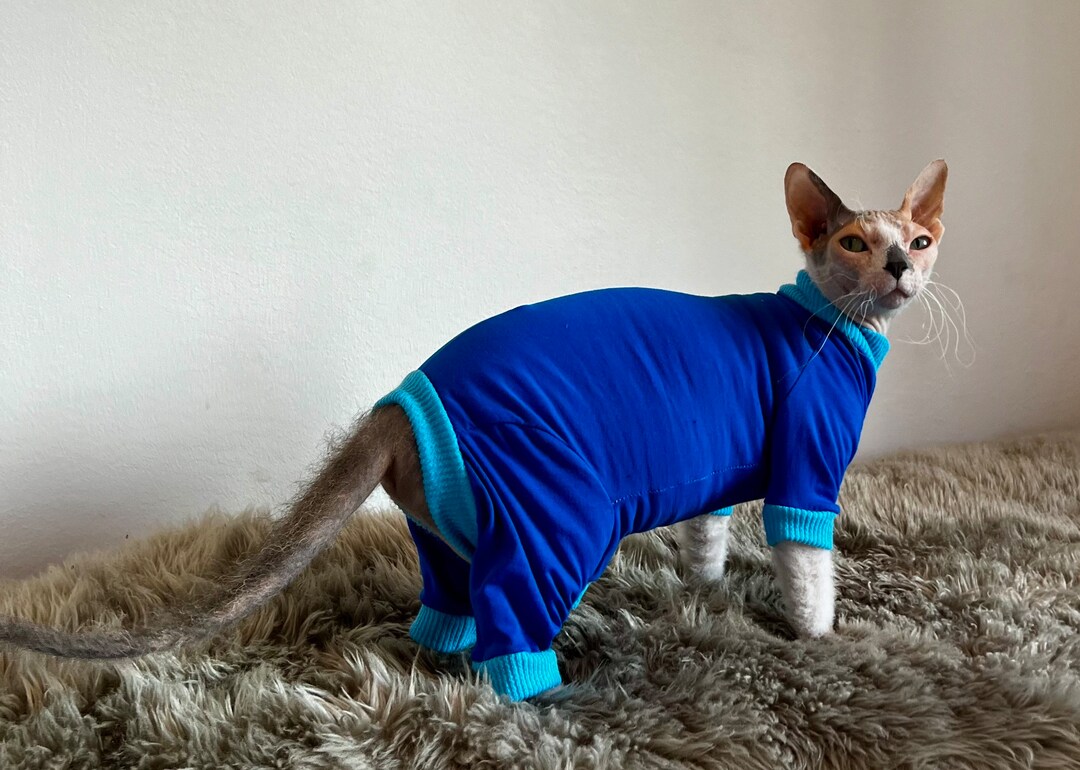 All in One Cat Pyjamas, Ideal for Recovery Suit, Make Your Sphynx Cat ...