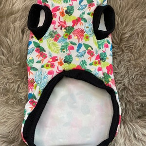 UV Protection Spf50,cat Shirt,cat Lover Gift, Pet Clothes, Cat Clothing ...