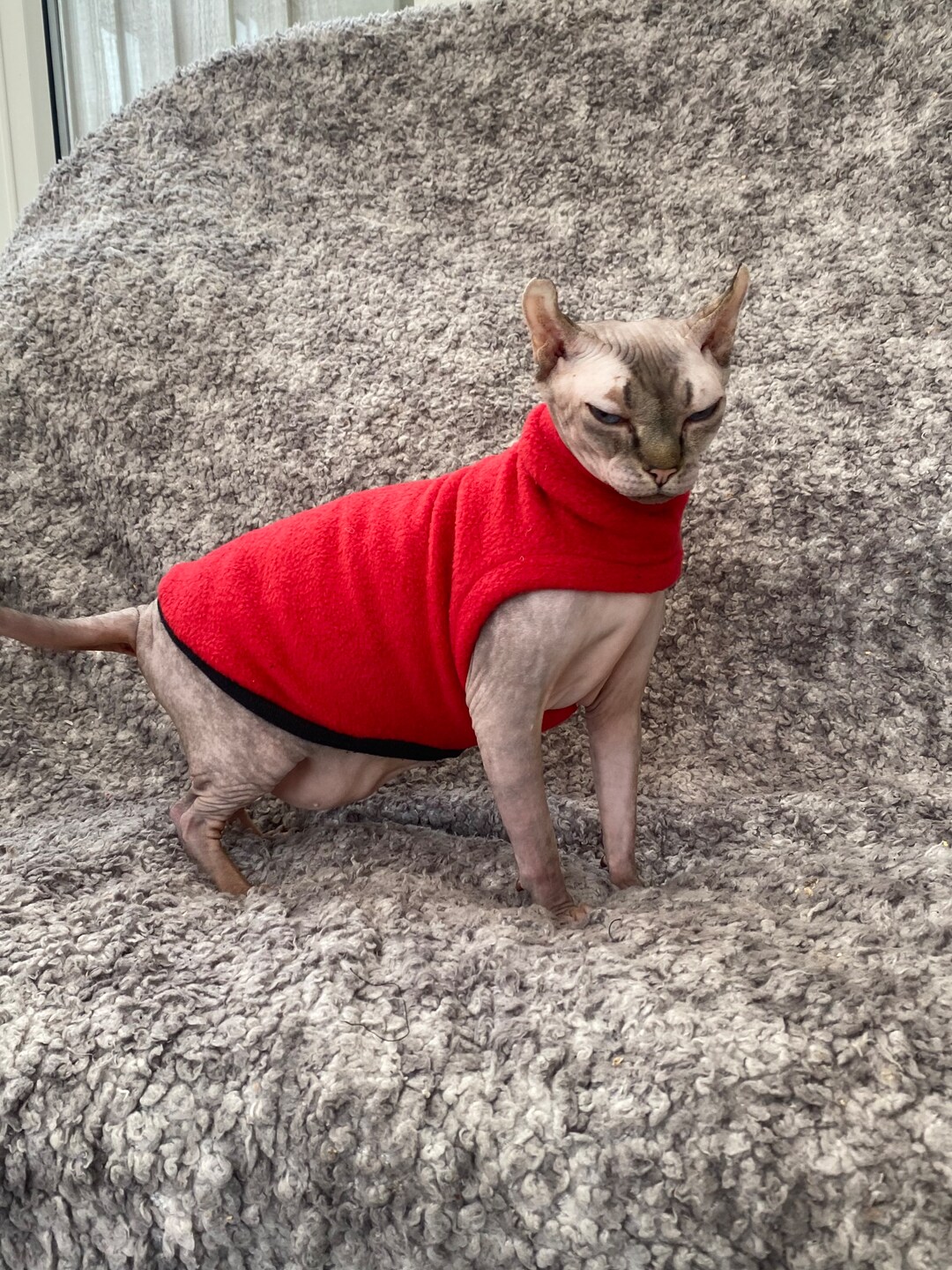 Fleece Sphynx Cat Jumper: One-hole Pet Clothes - Etsy