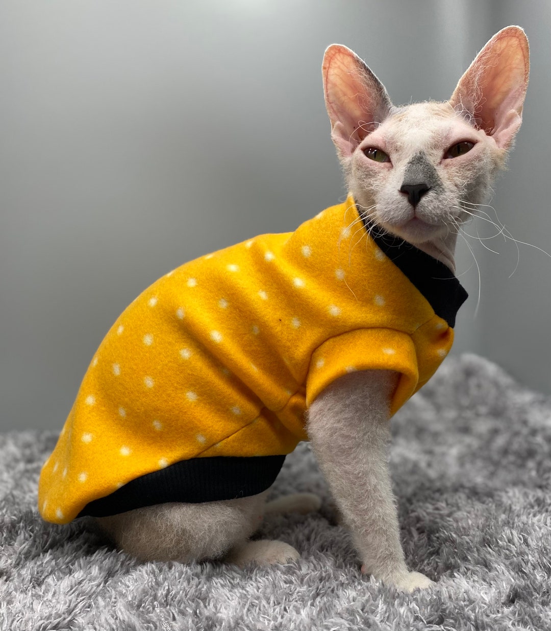 Sphynx Cat Clothes, Sphynx Jumper, Sphynx Sweater, Sphynx Clothes, Cat ...