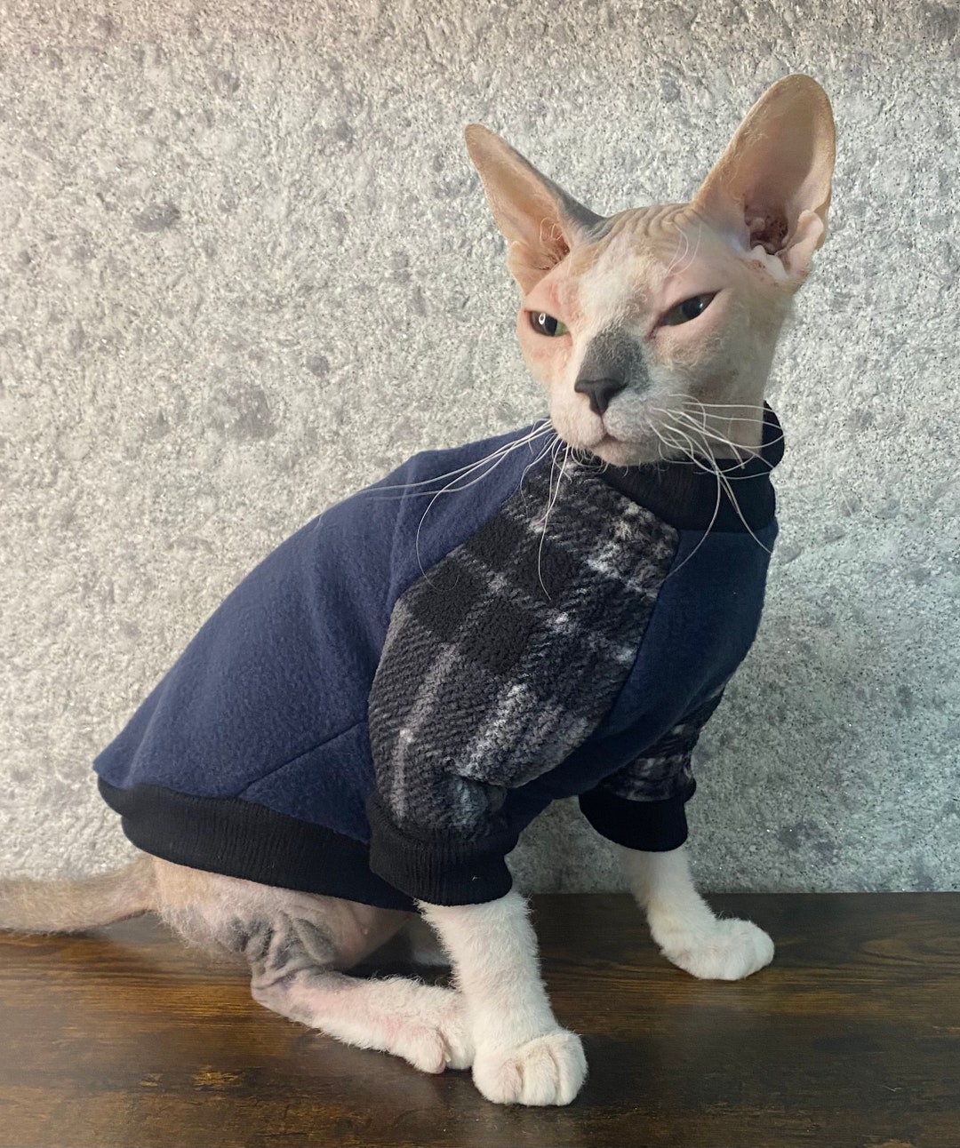 Sphynx Cat Clothes, Clothes, Long Sleeves Sphynx Cat Jumper, Sphynx ...