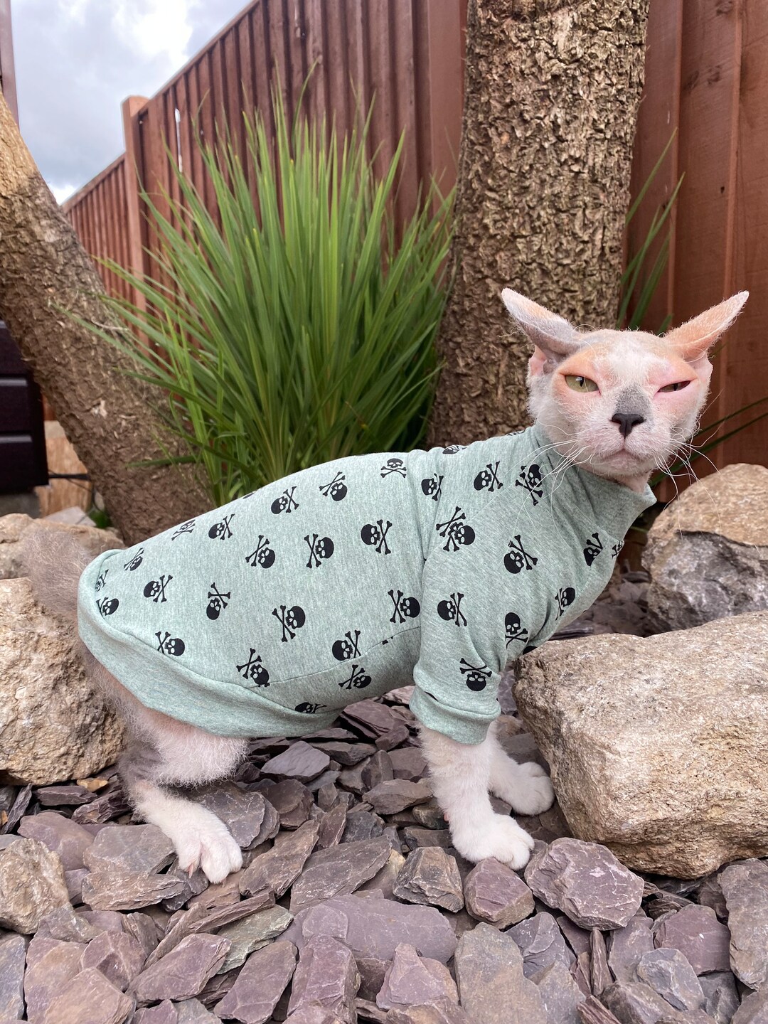 Sphynx Cat Clothes, Long Sleeve Sphynx Cat Jumper, Sphynx Clothes, Devon Rex Clothes, Cat ...