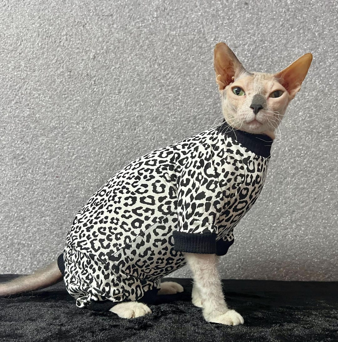 Leopard Print Sphynx Recovery Suit - Soft and Stylish Post-surgery ...