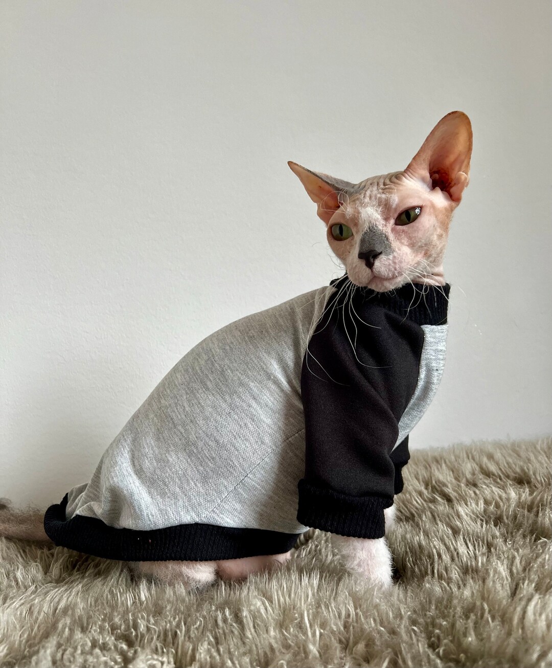 Long Sleeve Sphynx Cat Clothes - Perfect Pet Gift & Accessories for ...