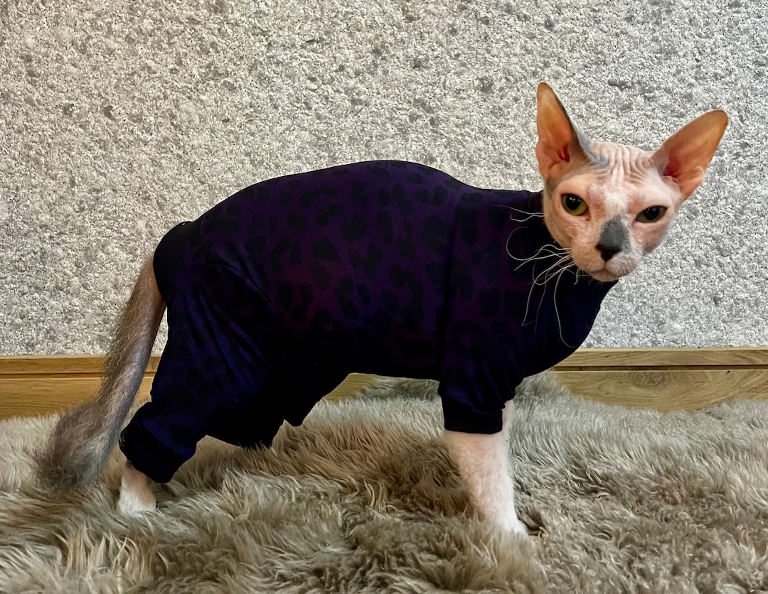 Sphynx Cat Jumpsuit, Cat Onesie, Recovery Suit, Cat Pyjama Sphynx ...
