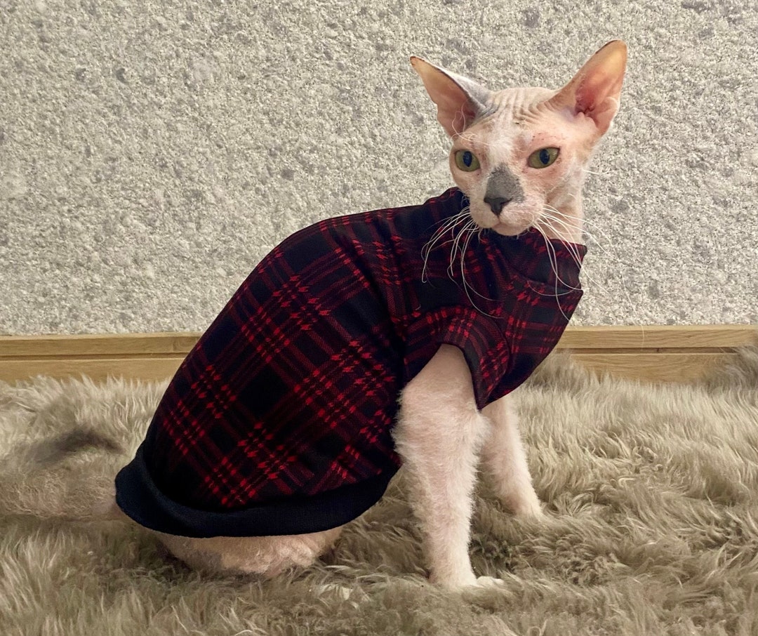 Cat Jumper for a Sphynx Cat Clothes, Sphynx Jumper, Sweater, Designer ...