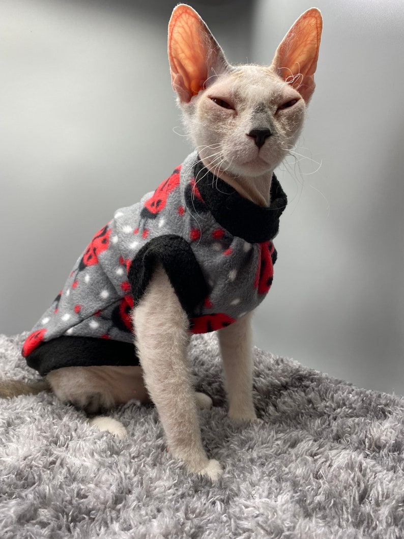 Sphynx Cat Clothes Sphynx Jumper Sphynx Sweater Sphynx - Etsy