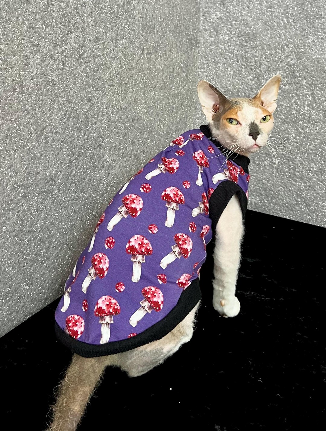 Mushroom Print Cat Jumper. Cat Jumper for a Sphynx Cat Clothes, Sphynx ...