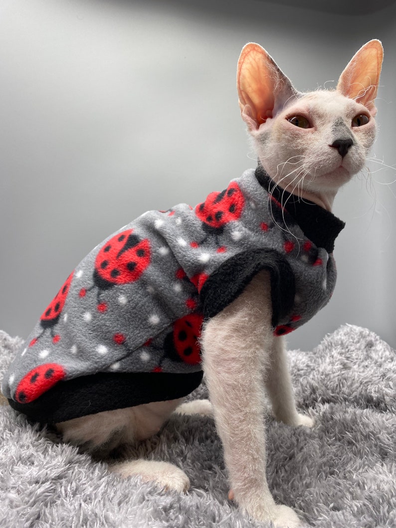 Sphynx Cat Clothes Sphynx Jumper Sphynx Sweater Sphynx - Etsy