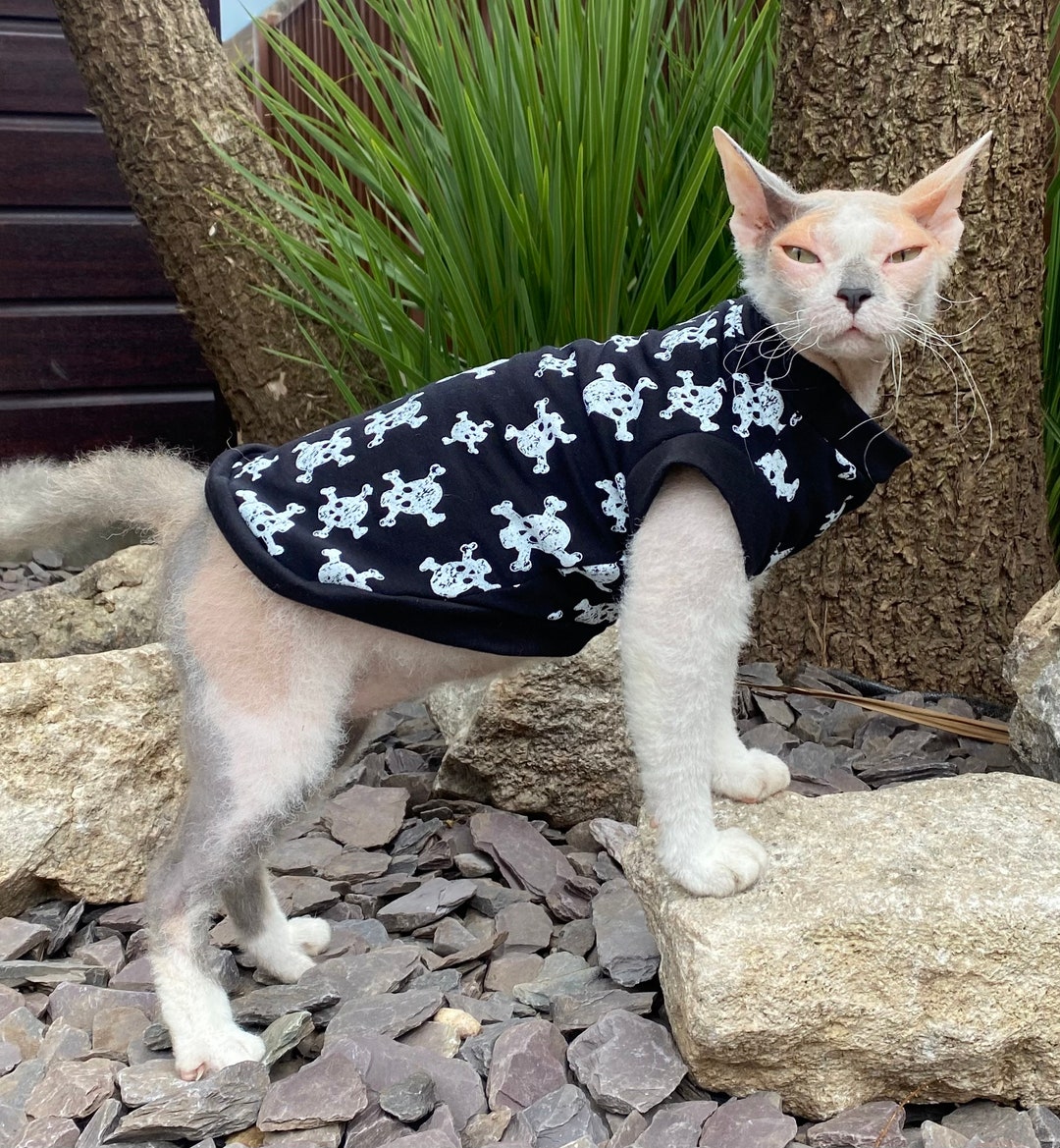Halloween Cats Jumper. Halloween Outfit Sphynx Cat Small Dog Jumpers ...