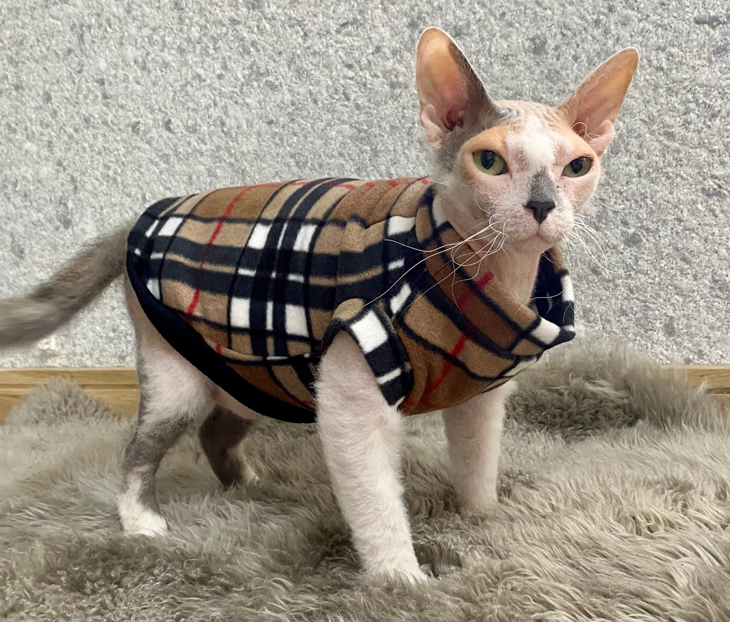 Handmade Fleece Sphynx Cat Jumper: Winter Hairless Cat Clothes - Etsy