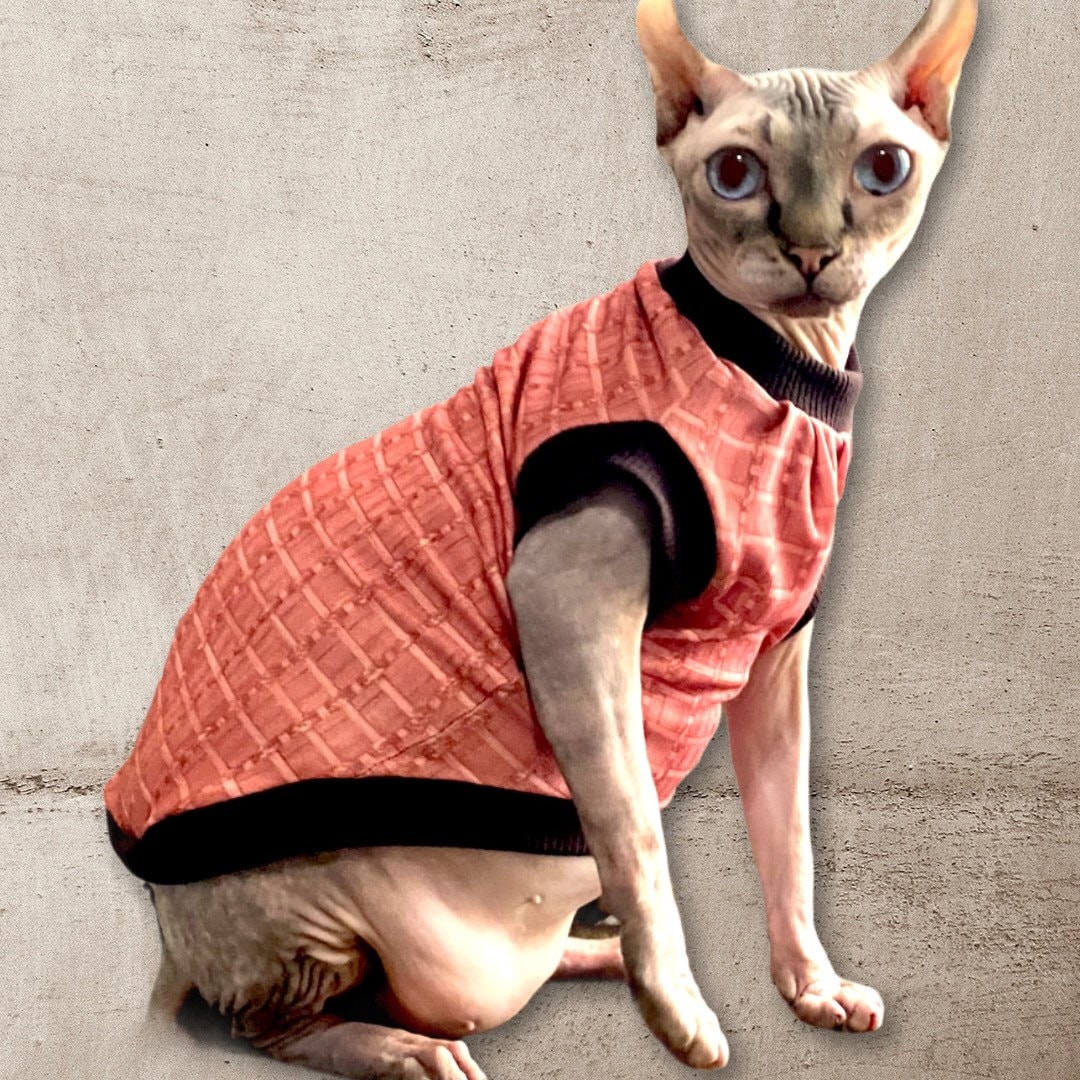 SPHYNX CAT CLOTHES , Cat Outfit Handmade Cotton Jersey Cat Clothes ...