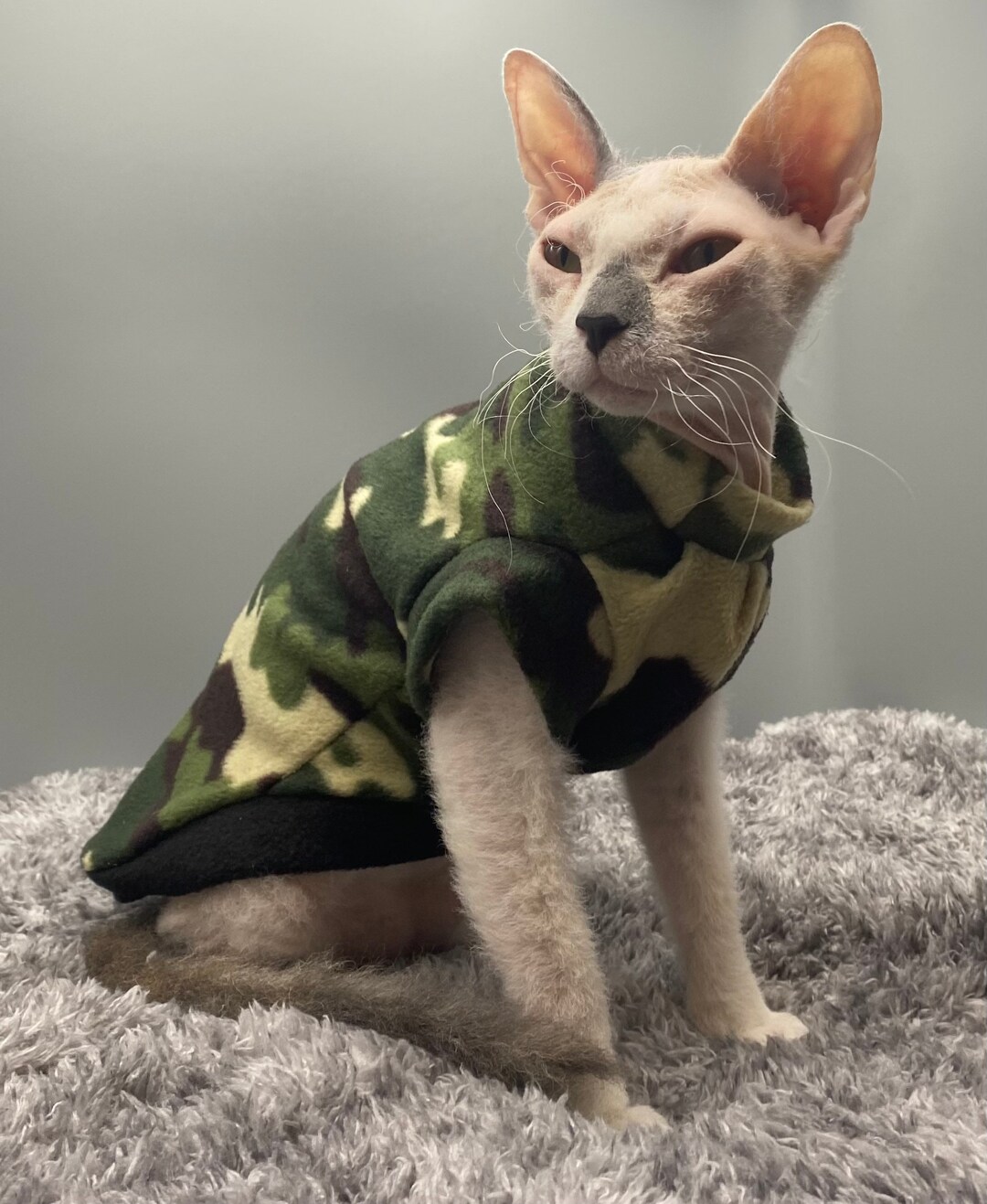 Sphynx Cat Clothes, Cat Tshirts, Pet Clothes, Cat Lover Gift, Cat ...