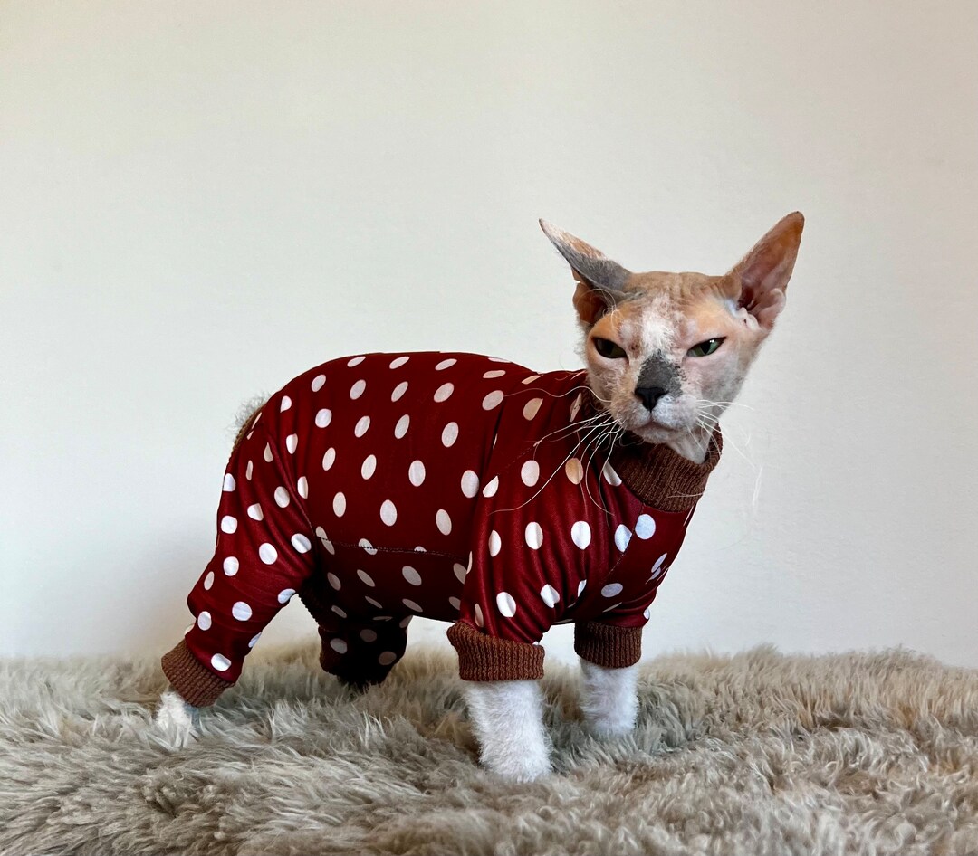 All in One Cat Pyjamas Ideal for Recovery Suit, Make Your Sphynx Cat ...