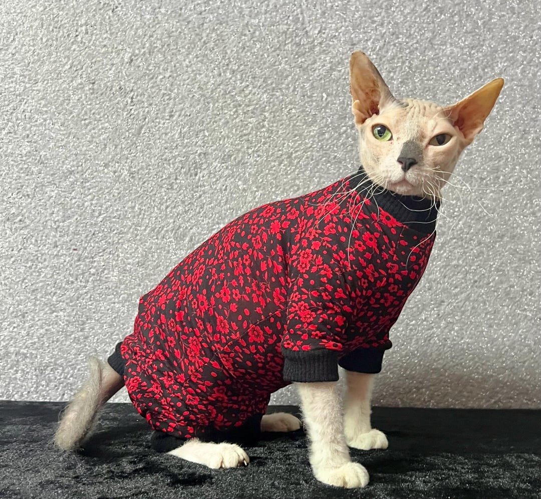 Red Floral Sphynx Recovery Suit - Soft and Stylish Post-surgery ...