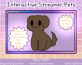 Black Cat Stream Pet | Cute Animated Pet Cat Mascot Stream Widget ...