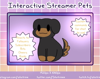 Black Cat Stream Pet | Cute Animated Pet Cat Mascot Stream Widget ...