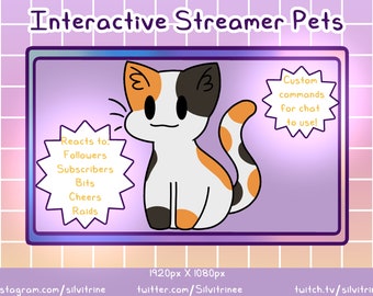 Black Cat Stream Pet | Cute Animated Pet Cat Mascot Stream Widget ...