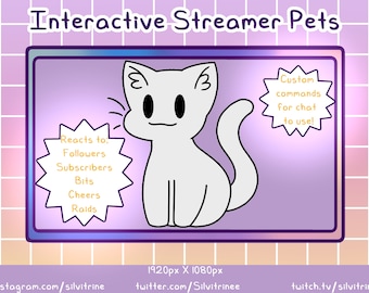 Black Cat Stream Pet | Cute Animated Pet Cat Mascot Stream Widget ...