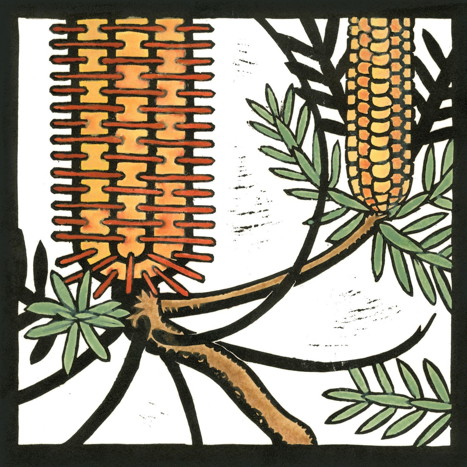 Golden Banksia , Linocut Card, Blank Card, , Australian Native Card ...
