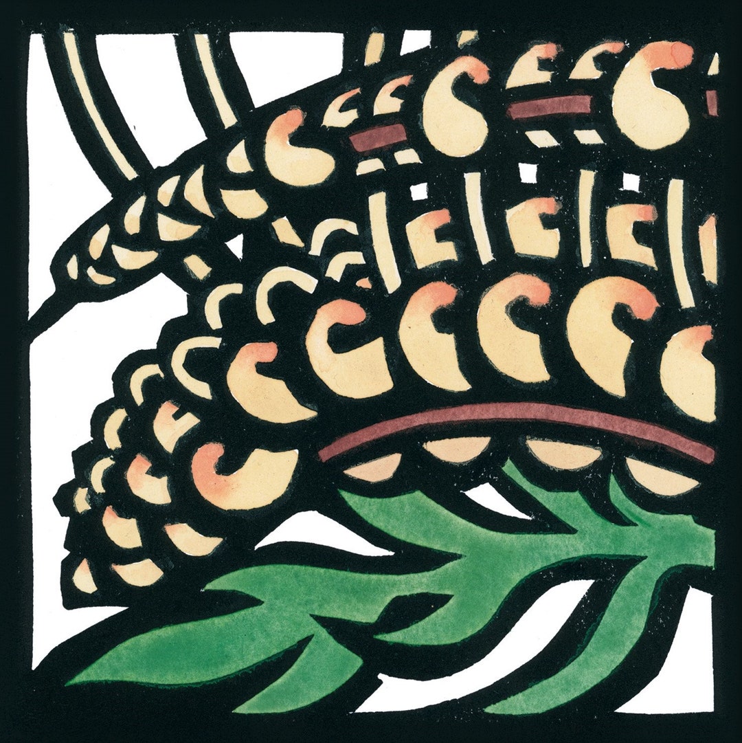 Cream Grevillea, Original Linocut, Watercolour, Handcoloured Linocut ...