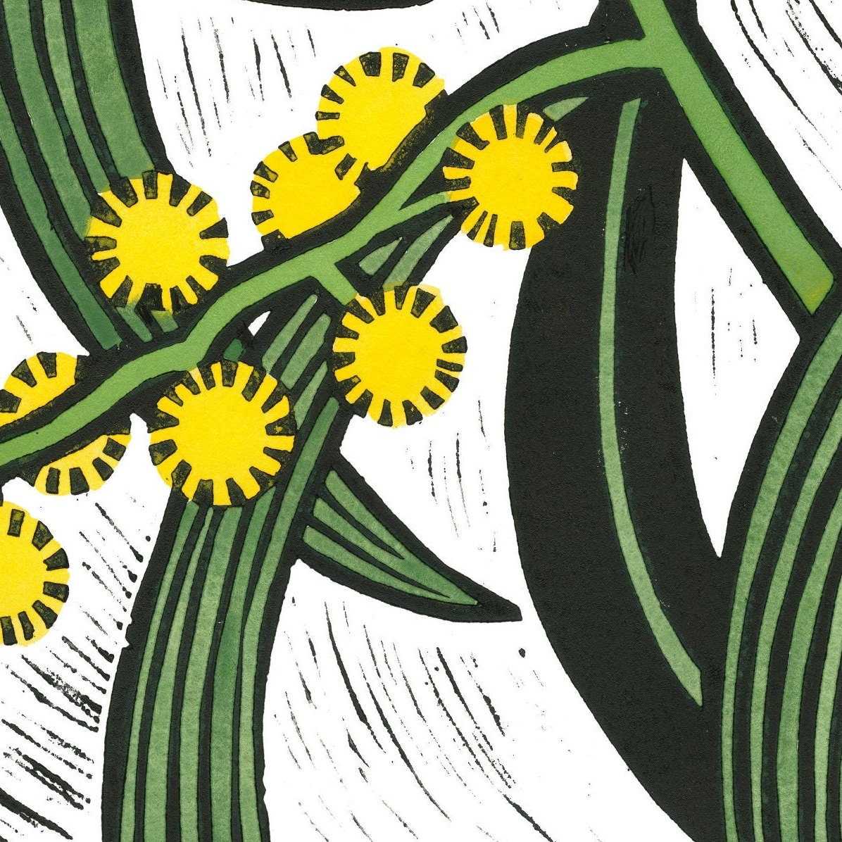 Golden Wattle, Linocut Card, Watercolour Card, Australian Native Card ...