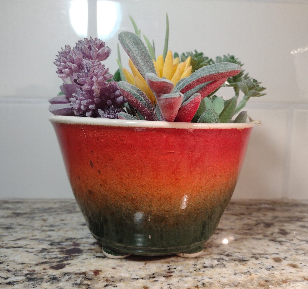 Succulent/cactus Plant Pot Multi-colored - Etsy