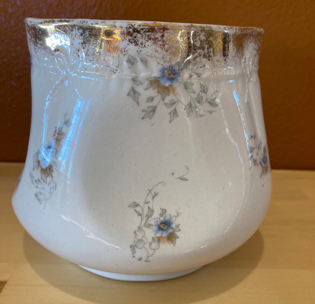 Early 1900s Vintage Warwick China Biscuit Jar With Blue Floral Design ...