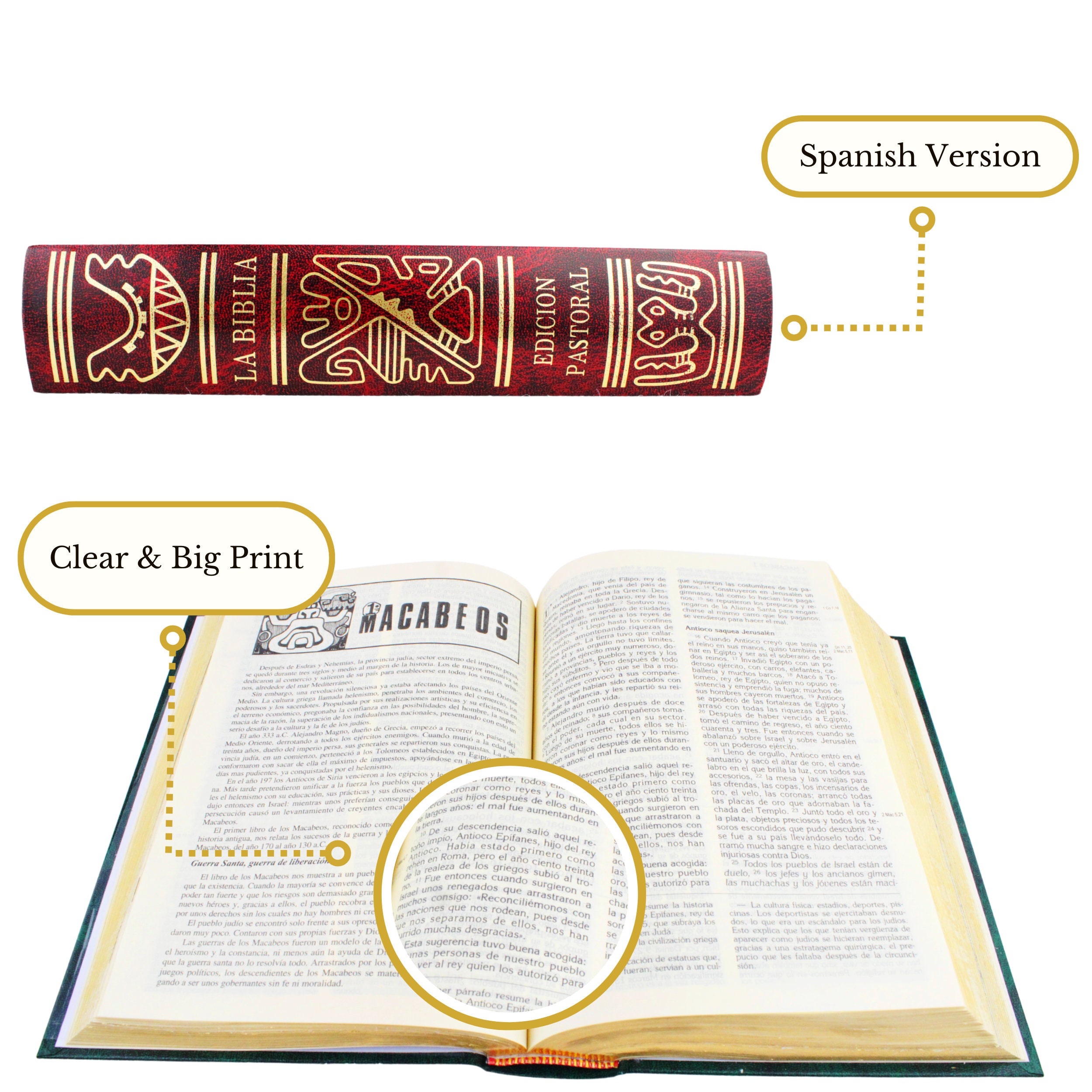 Latin American Bible, Large Print - Latin American Catholic Bible ...