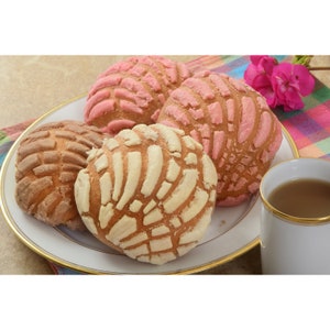 Traditional Concha Cutter Mexican Bread Mold Made of Stainless Steel ...