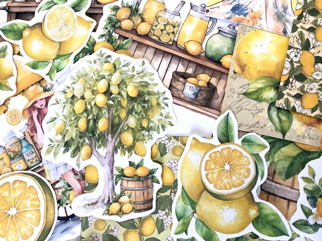 30 Lemon Theme Stickers - Etsy