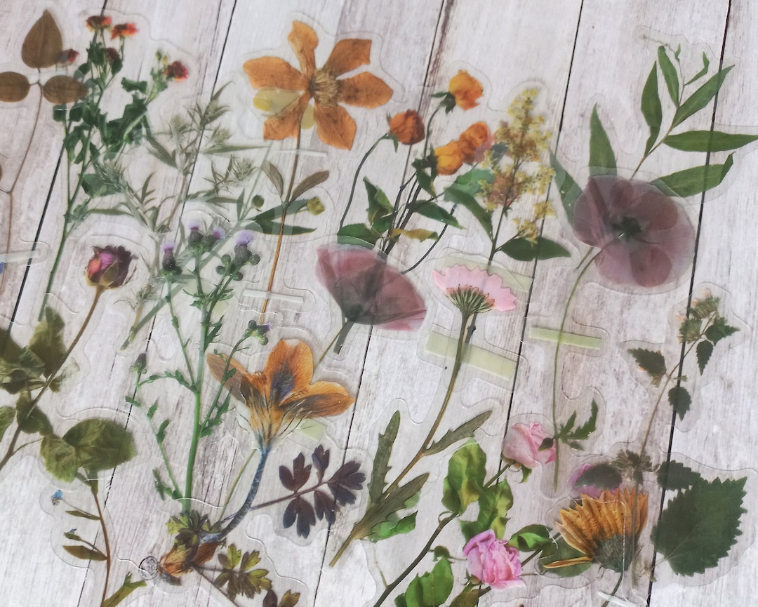 Lot 20 Transparent Dried Flower Stickers, Art Journal, Scrapbooking 20 ...