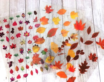 Transparent Stickers Tree - Etsy