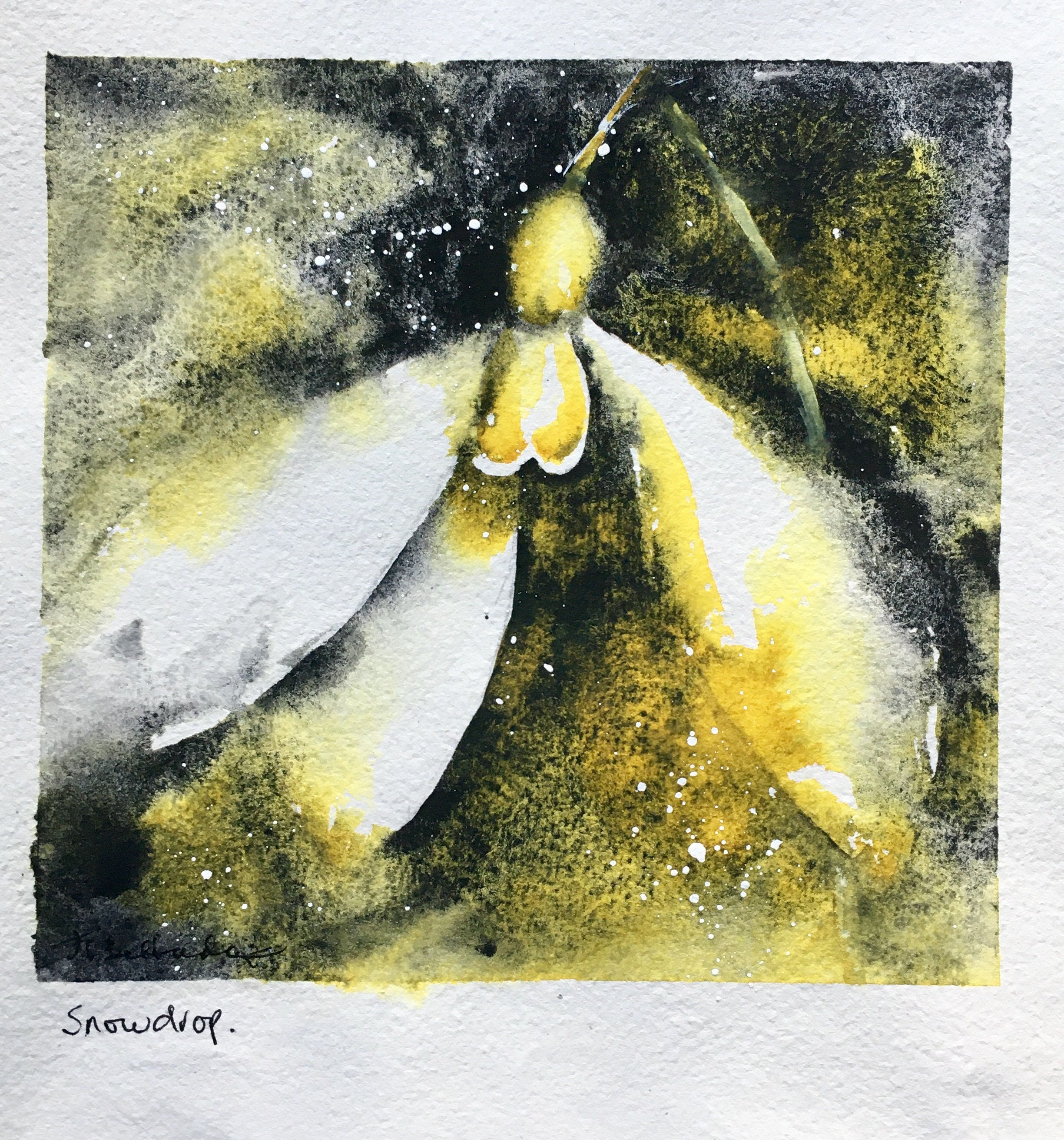 Snowdrop 3 Original Watercolour Painting signed by Jane | Etsy