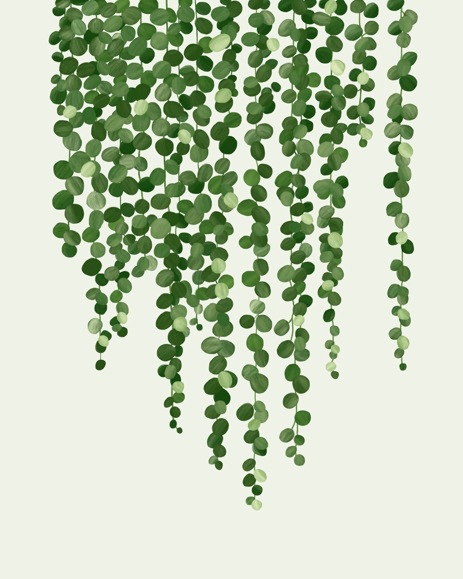 Greenery Digital Print Botanical Art Vines Home Decor Boho - Etsy