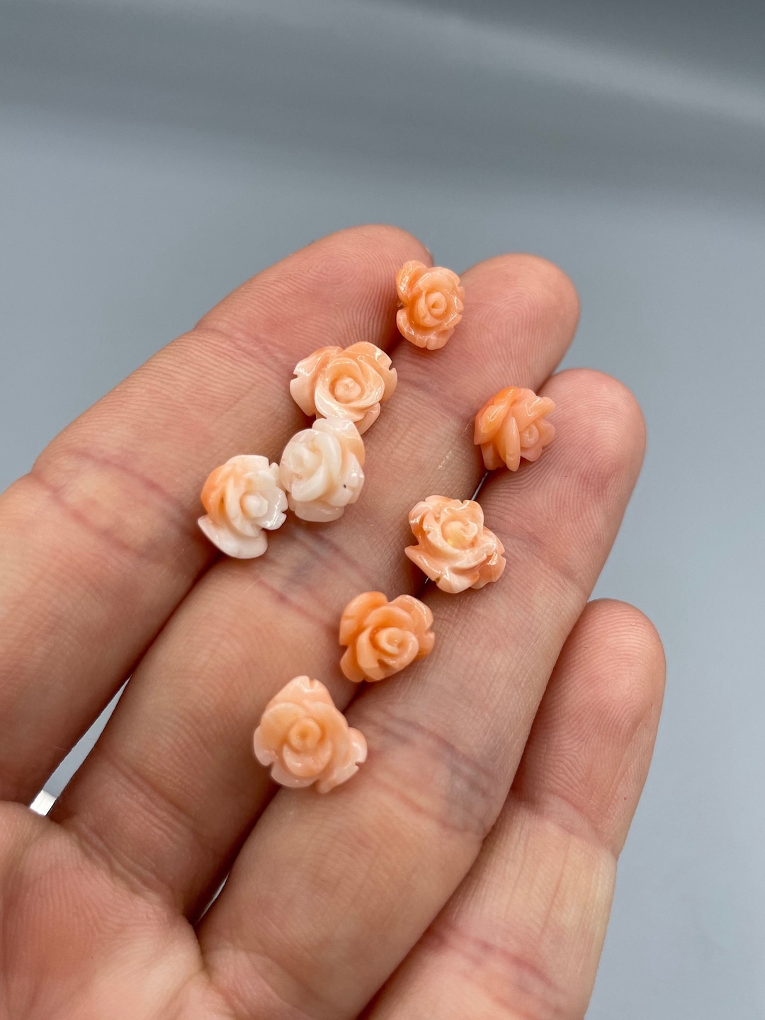 LOT Vintage Japanese Pink Angel Skin and Momo Coral Natural Rose Flower ...