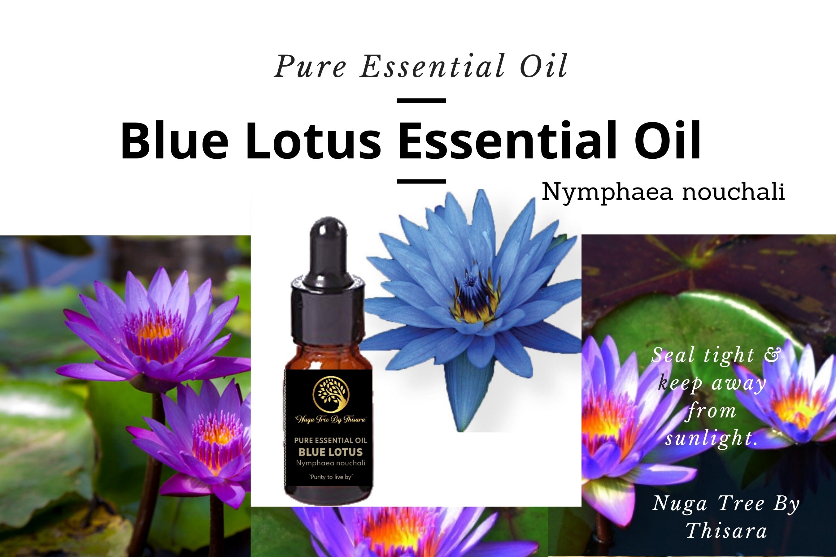 Blue Lotus Essential Oil 30 Ml 101 Oz 100 Pure Blue Etsy