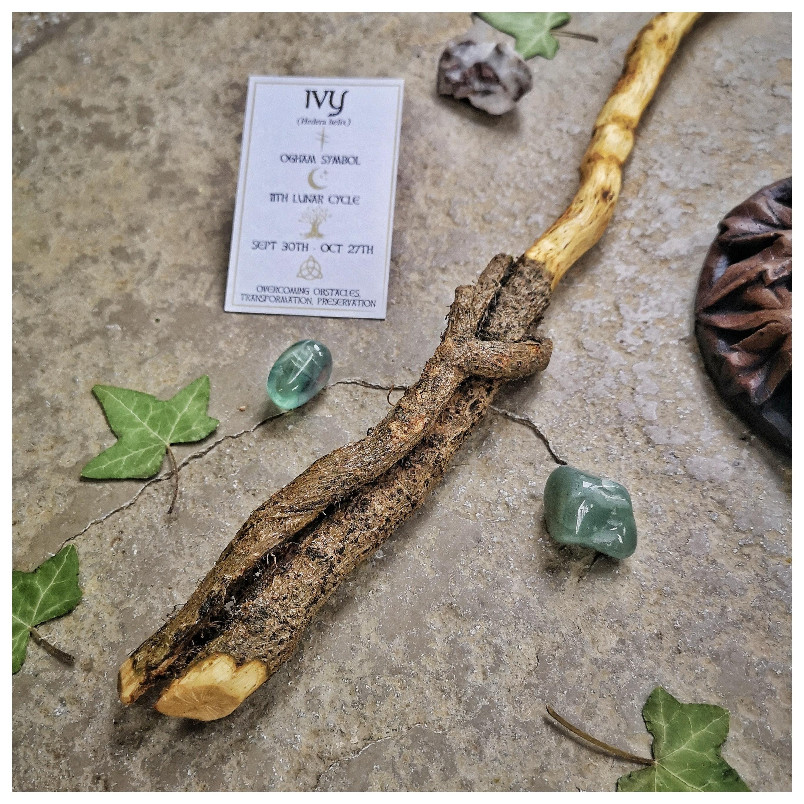 Ivy Ritual Ogham Wand Magical Forest Tools Hand Made to Order With ...