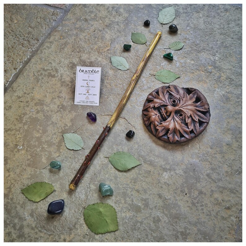Bramble Ritual Ogham Wand Magical Forest Tools Made to Order With ...