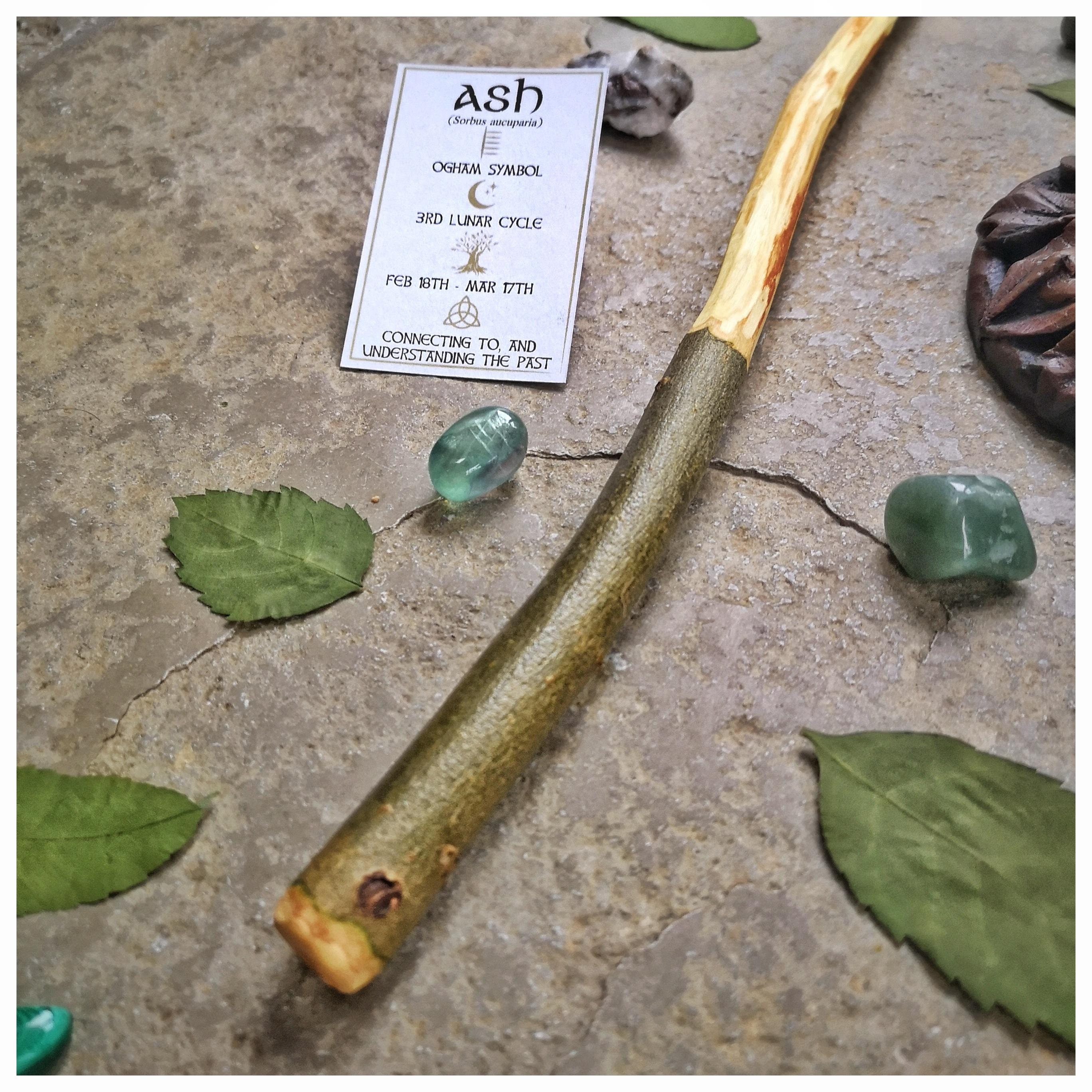 Ash Tree of Life Ritual Ogham Wand Magical Forest Tools - Etsy