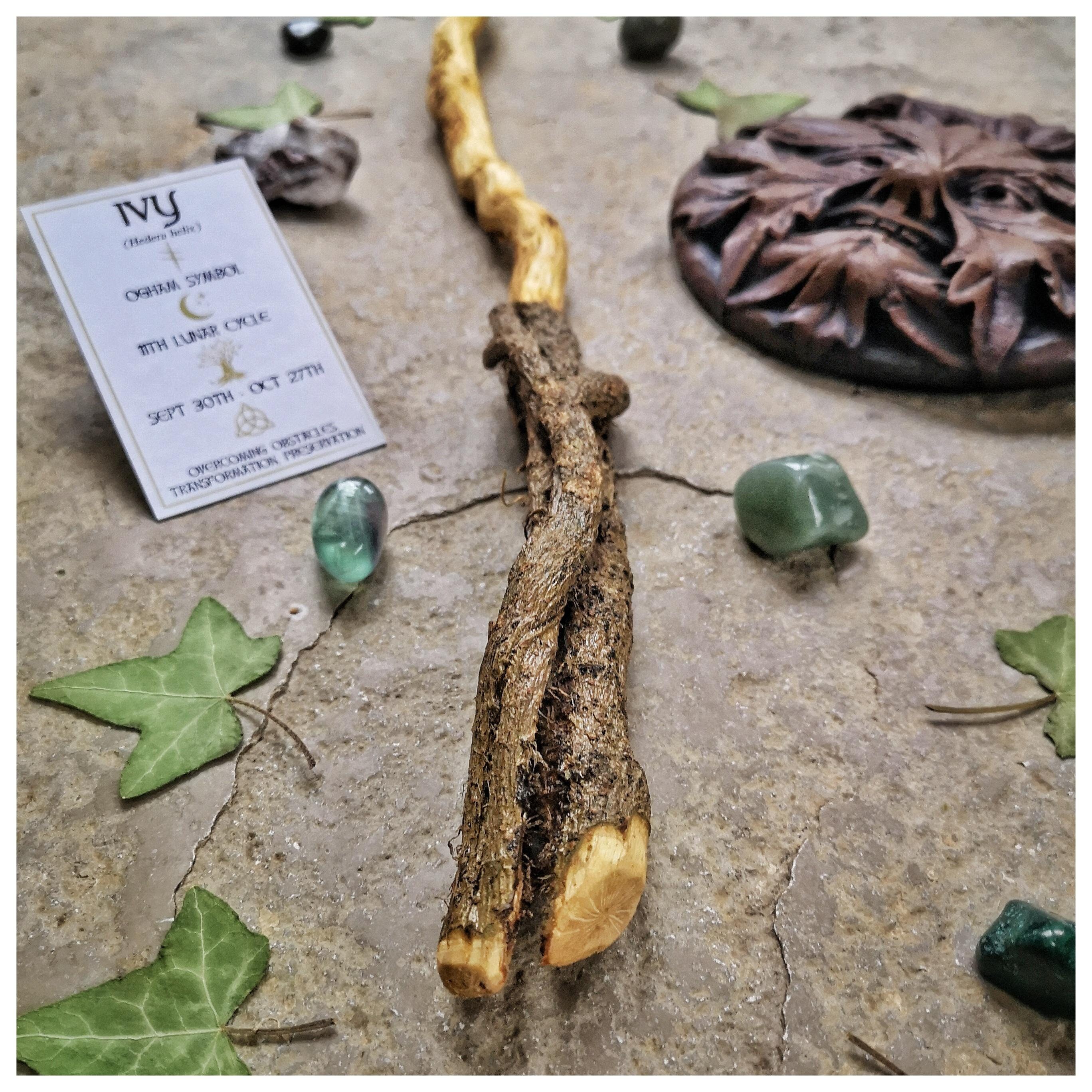 Ivy Ritual Ogham Wand Magical Forest Tools Hand Made to Order With ...