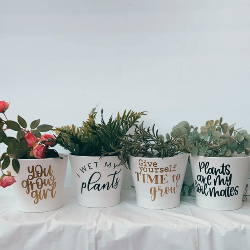 Plant Puns Pots - Etsy